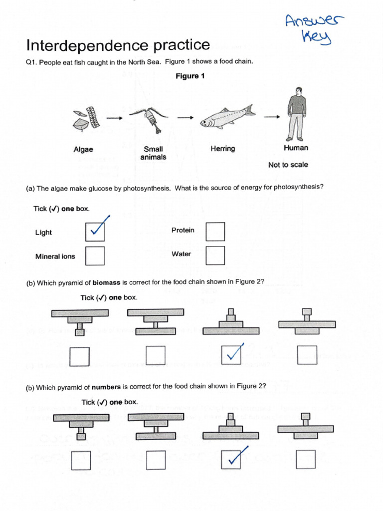 Interdependence Practice Answer Key | PDF