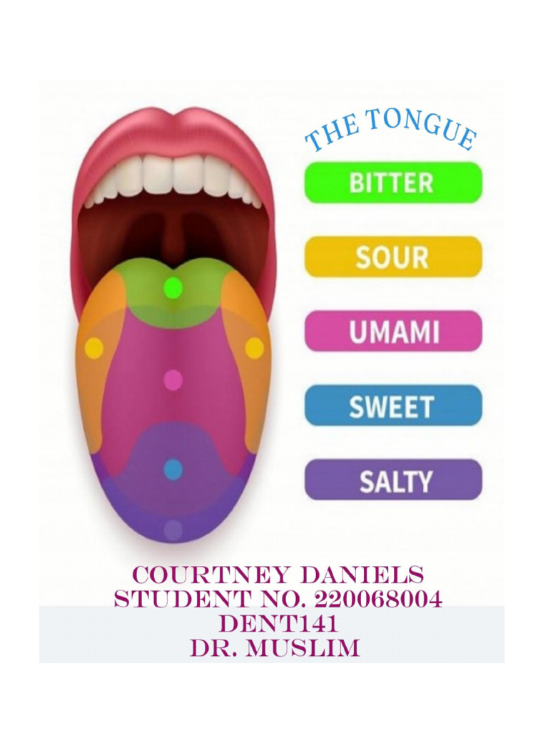 Tongue Development and Functions | PDF | Tongue | Taste