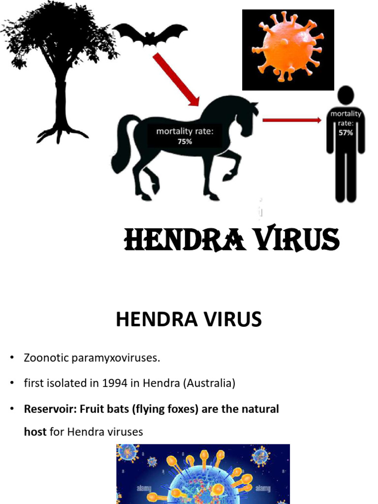 67. Hendra virus, slow virus diseases | PDF | Human Diseases And ...