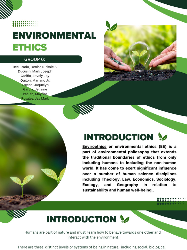 Chapter 11 Environmental Ethics | PDF | Nature | Earth Sciences