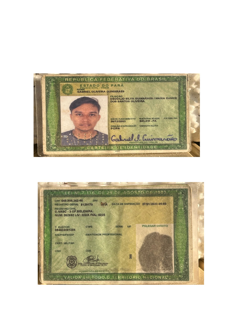 Meus Documentos | PDF