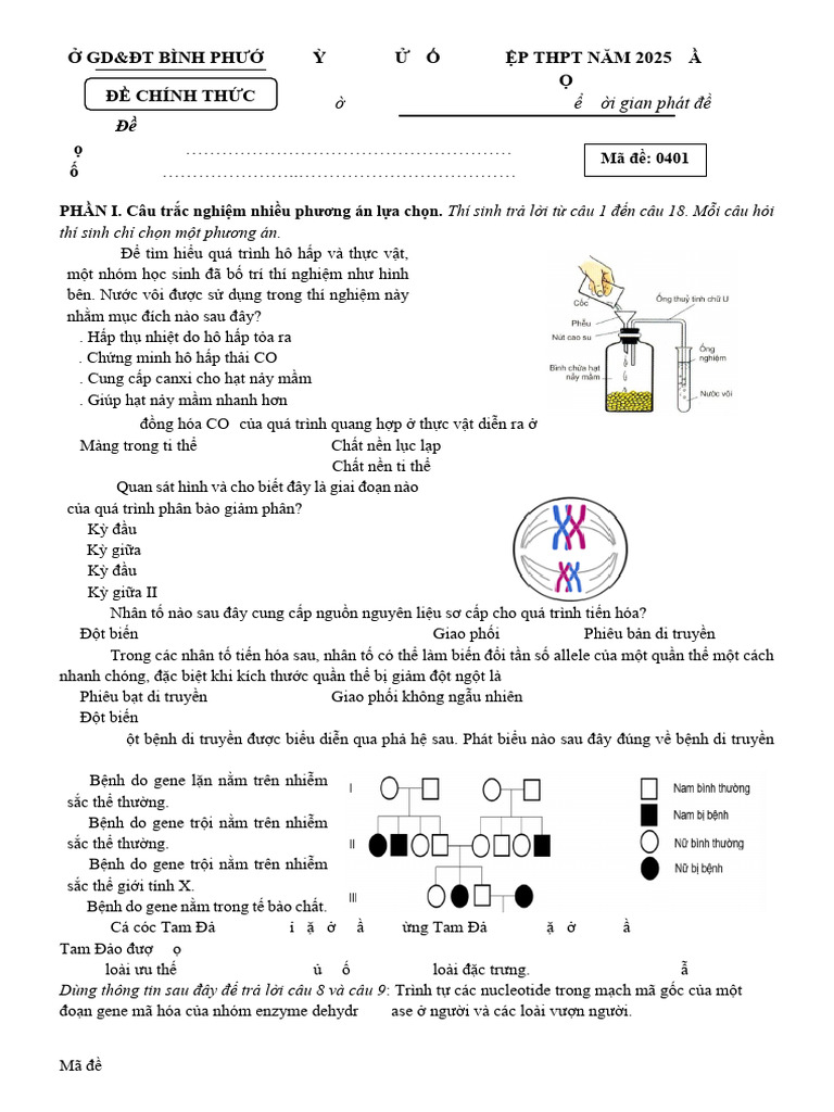 Mã Đề 0401 | PDF