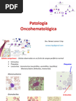 Clase 2 Clasificacion Fab | PDF | Leucemia | Enfermedades y trastornos