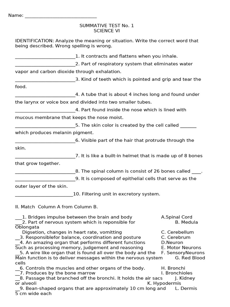Science VI Summative Test: Body Systems | PDF | Respiratory System | Skin