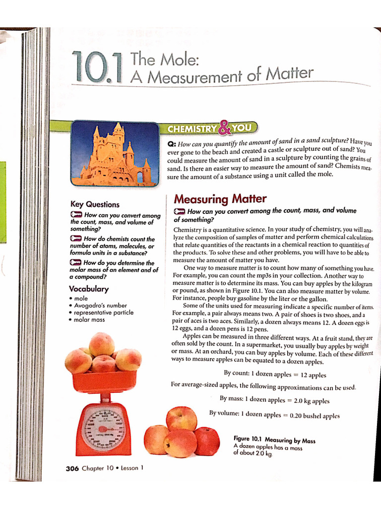 Chapter 10 Book Pages | PDF