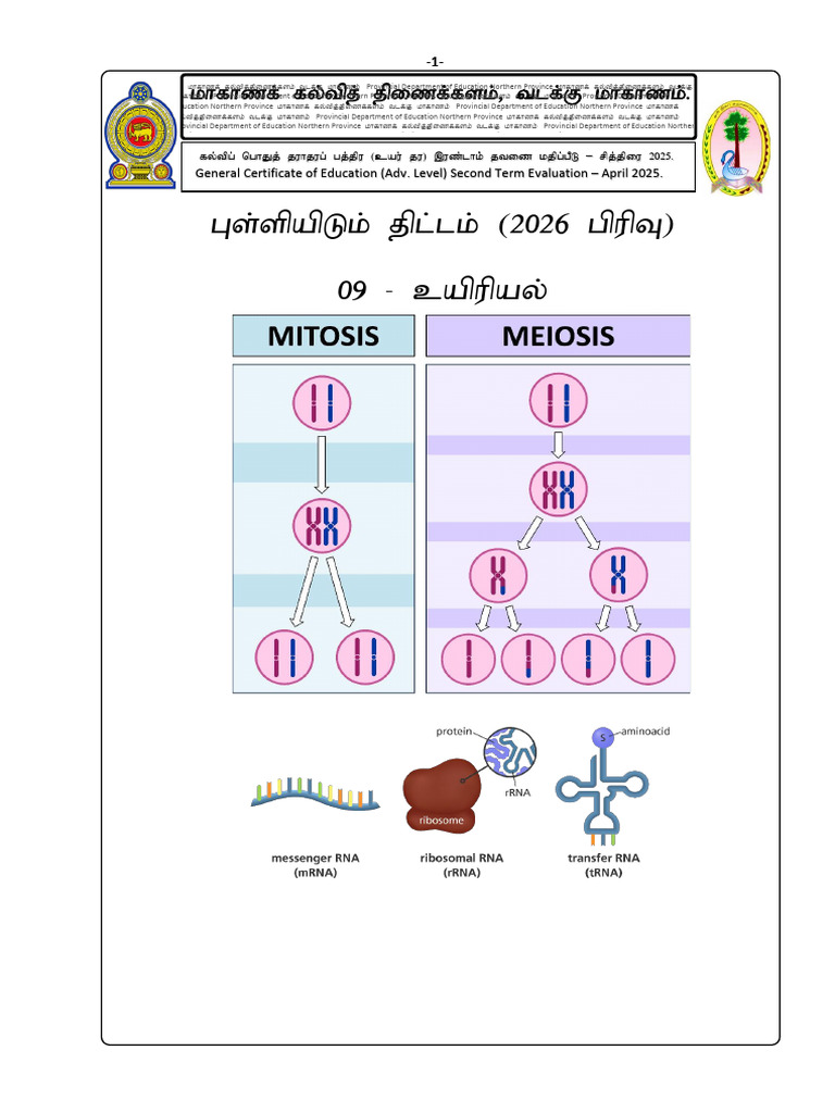 Bio Ans. TM 2 ND Term 2026 | PDF