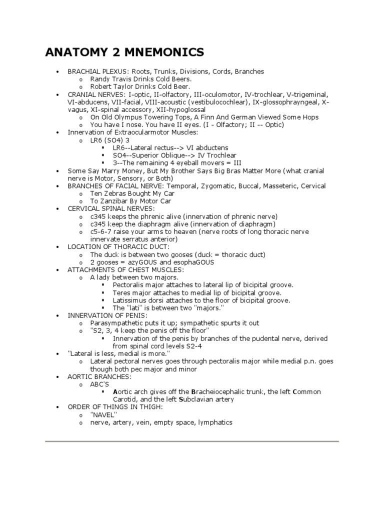 Anatomy Mnemonics | Download Free PDF | Common Carotid Artery ...