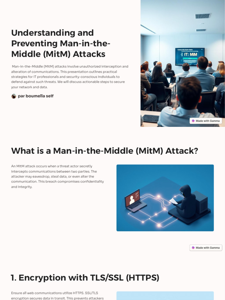 Understanding and Preventing Man in The Middle MitM Attacks | PDF