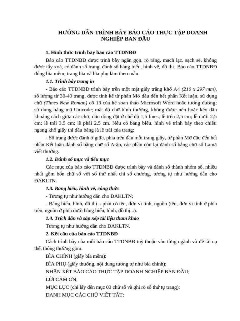 Template Bao Cao TTDN | PDF