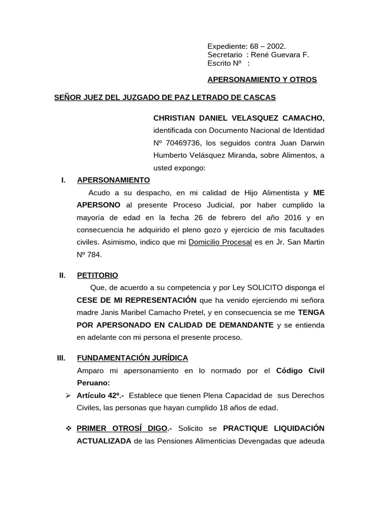Apersonamiento de Janis | PDF | Pensión alimenticia | Demanda judicial