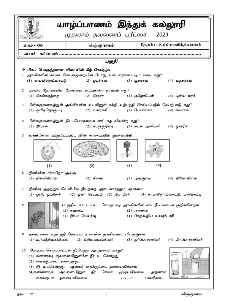 G6 Science 1st Term JFN 2023 | PDF