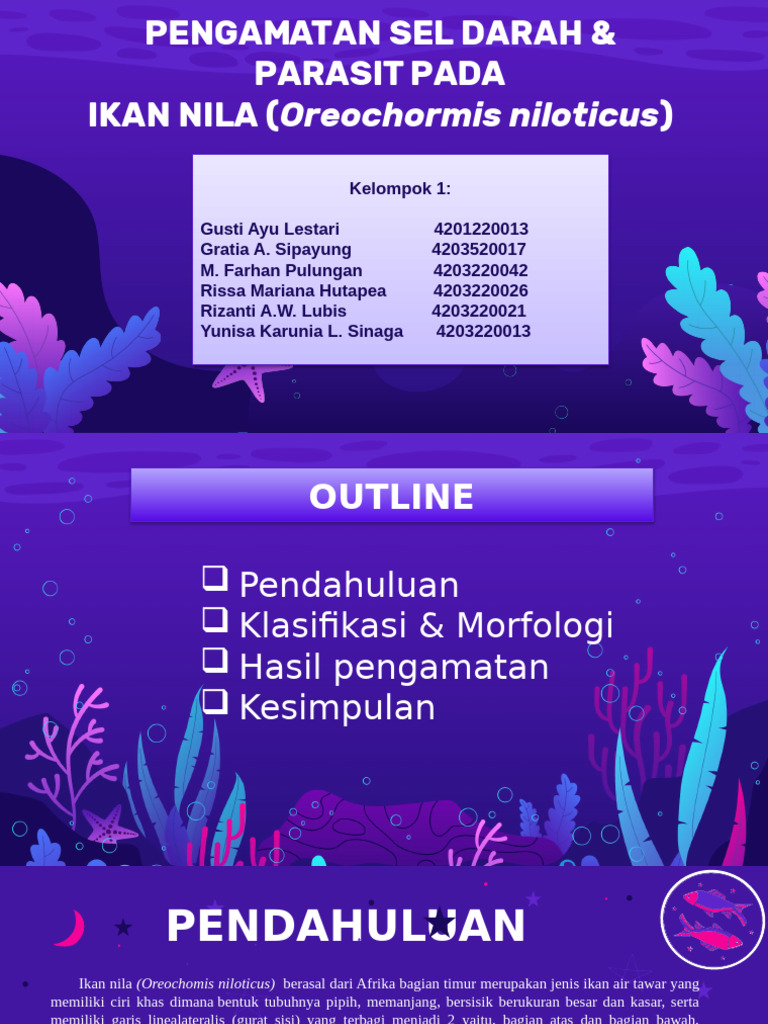 Praktikum - Biologi Molekuler - Kel 1 PSB 20 C | PDF