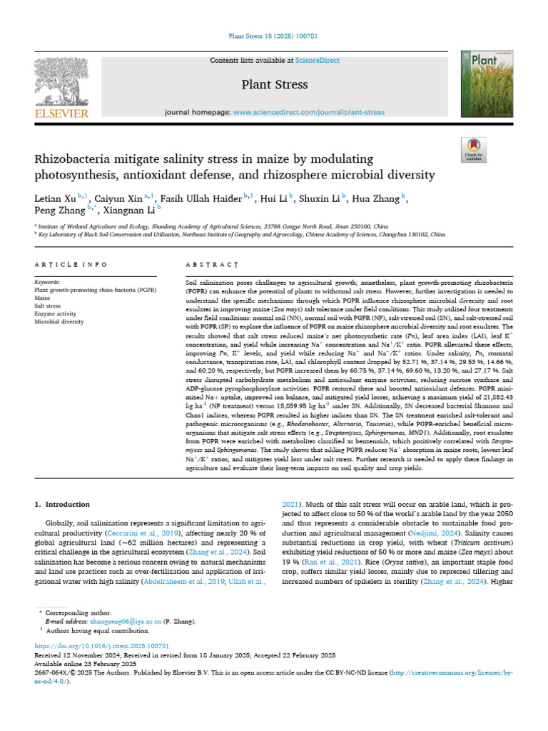 Rhizobacteria Mitigate Salinity Stress in Maize by Modulating Photosynthesis, Antioxidant ...