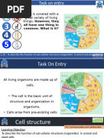 Amoeba Sisters - Intro To Cells Recap | PDF | Cell (Biology ...