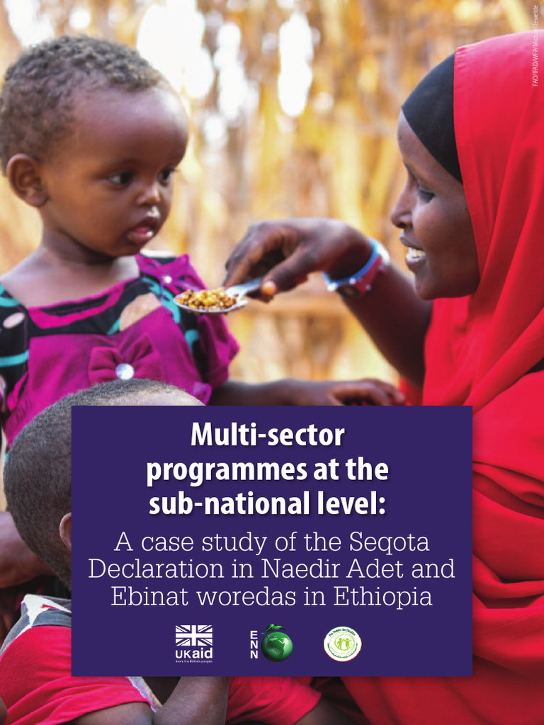 Seqota Declaration in Ebinat Woreda | PDF | Wash | Ethiopia