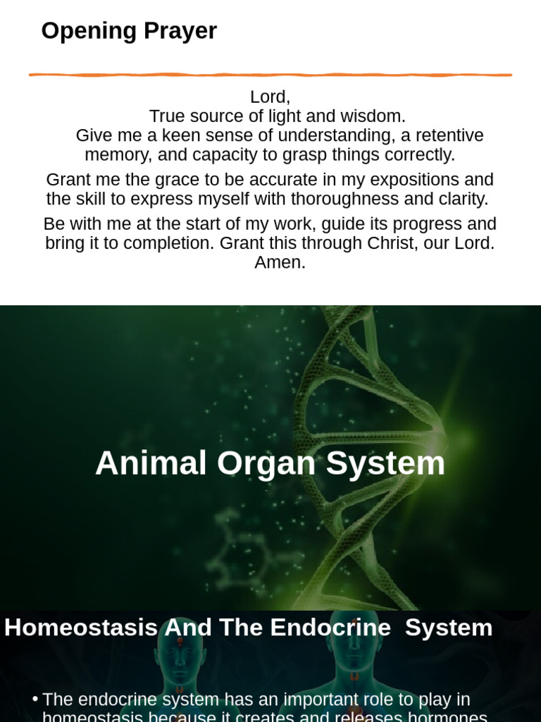Animal Organ System PT 6 | PDF | Electrolyte | Homeostasis