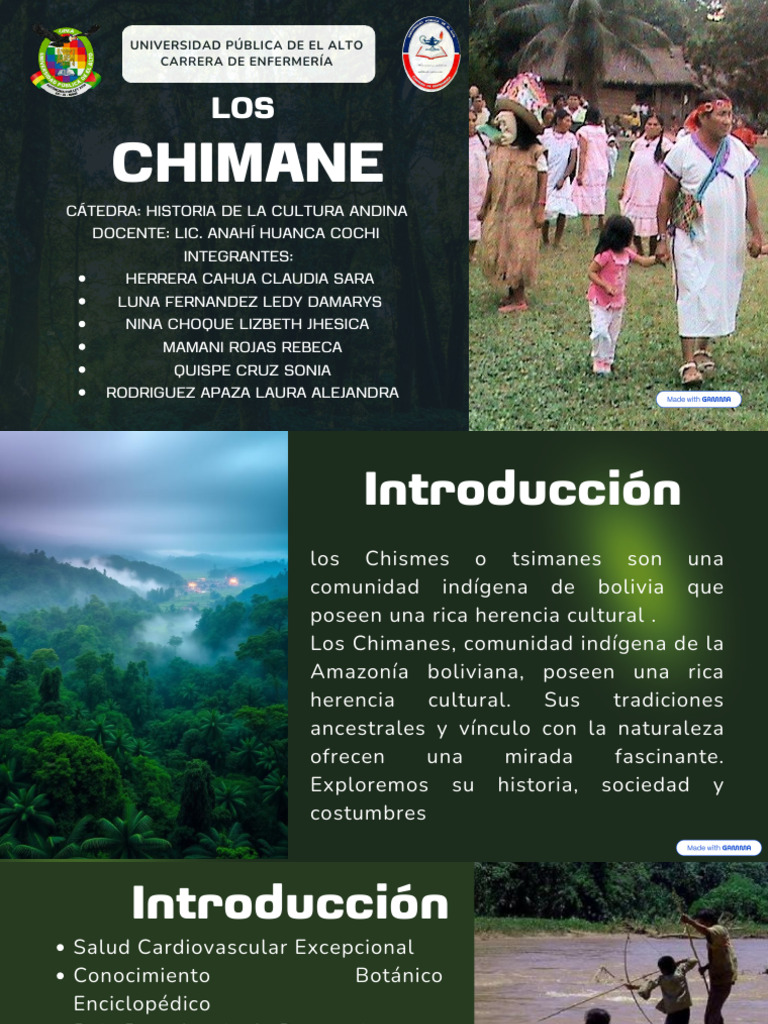 Cultura Chimane Un Legado Amazonico - PPTX - 20250423 - 222020 - 0000 | PDF