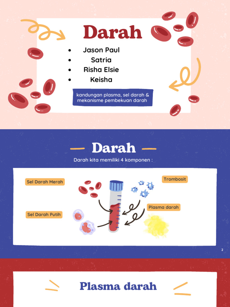 Komponen dan Fungsi Darah Manusia | PDF