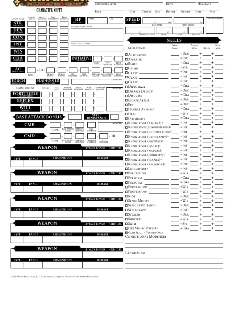 Pathfinder Character Sheet Blank | PDF | D20 System | Role Playing