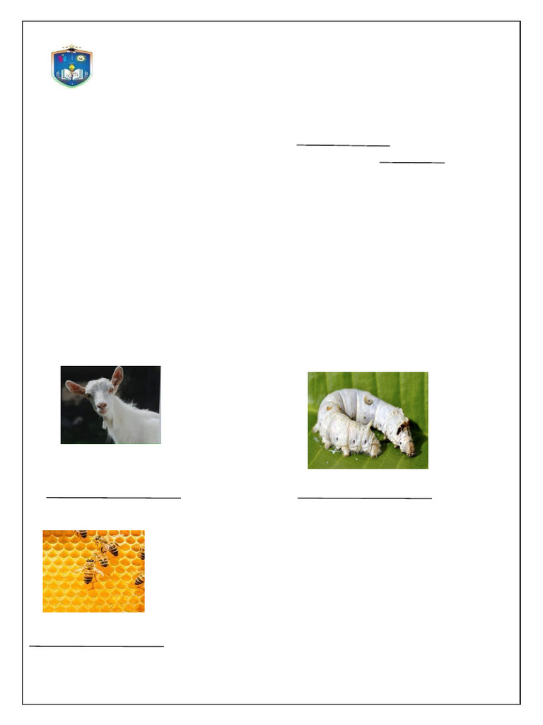 Grade 2 World of Animals worksheet (1) | PDF