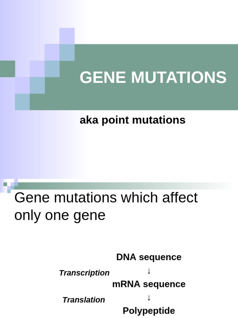 07 Gene Mutations | PDF | Point Mutation | Gene