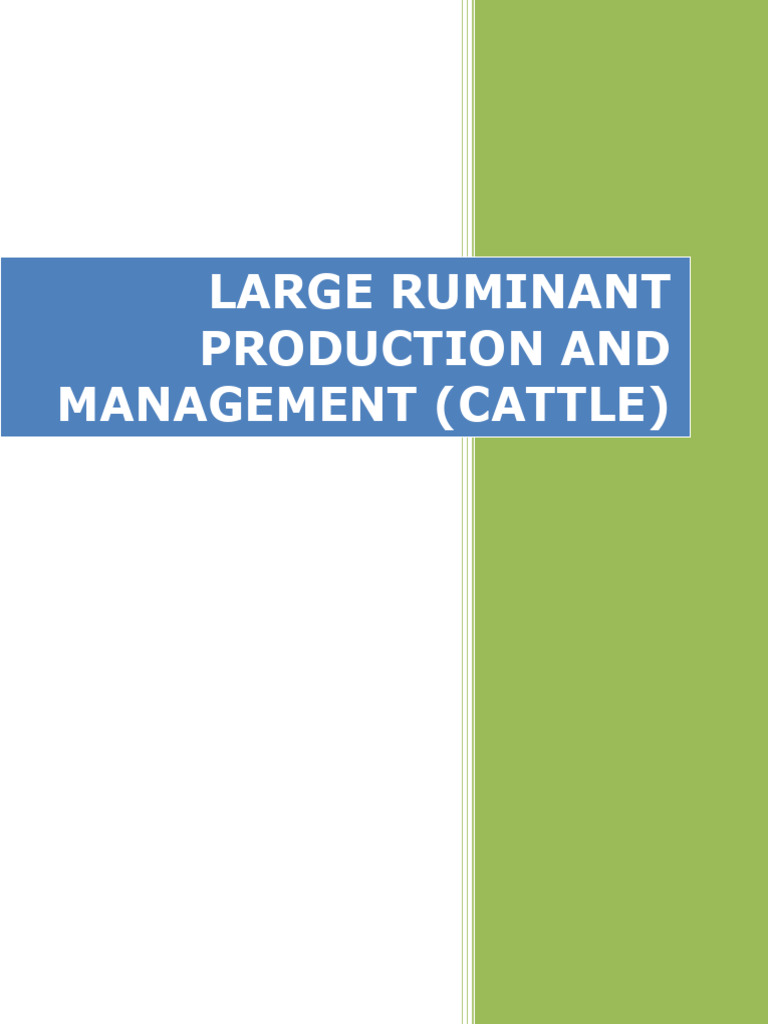 Cattle Production and Management Guide | PDF | Cattle | Weaning