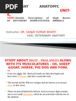 1687761495.6. Type of Cercariae With Examples | PDF | Zoology
