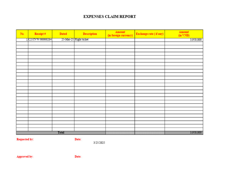 Expense Claim Report 24-26.02.25 | PDF