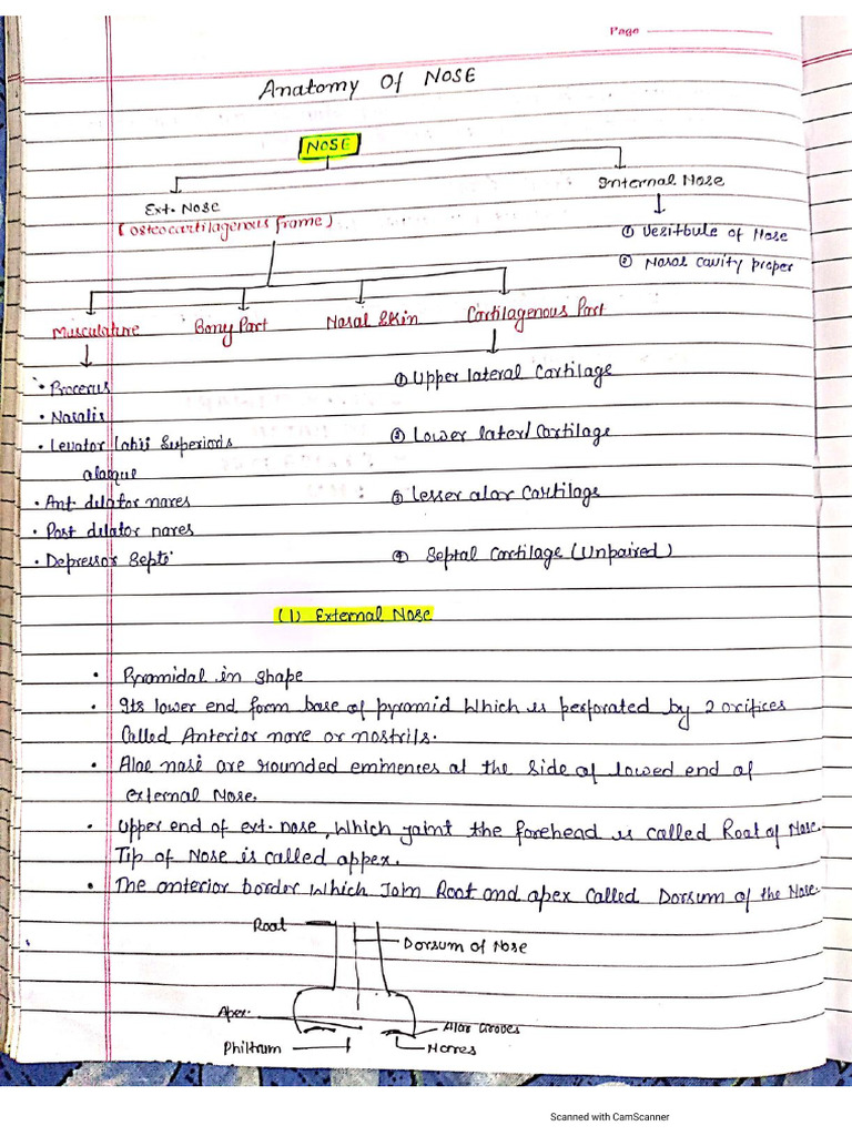 Nasa Roga Notes | PDF