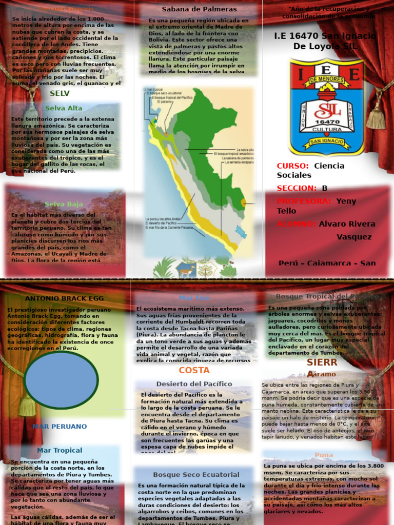 Triptico 11 Eco - Regiones Del Peru | PDF | Selva | Perú