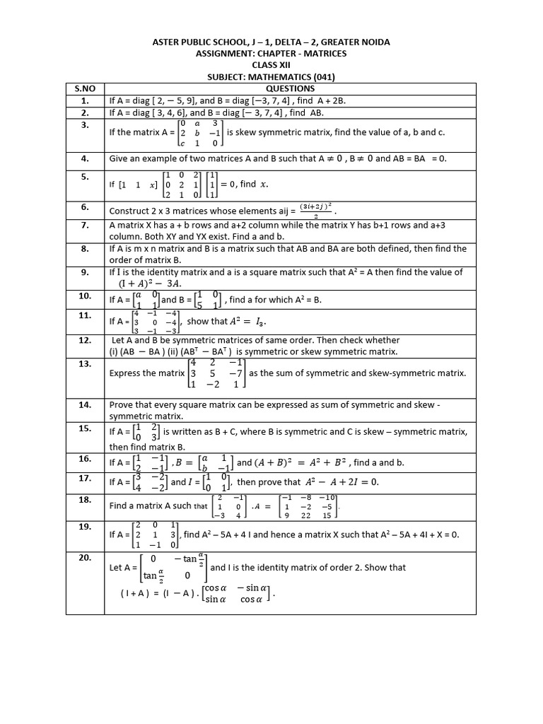 Class XII Mathematics Assignment on Matrices | PDF | Matrix ...