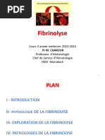 Le Globule Rouge | PDF | Globule rouge | Membrane cellulaire
