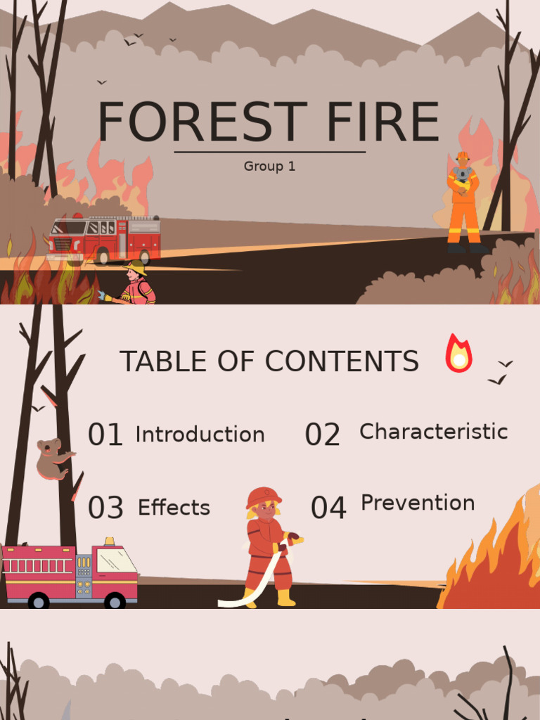 FOREST FIRE Made by Group 1 | PDF