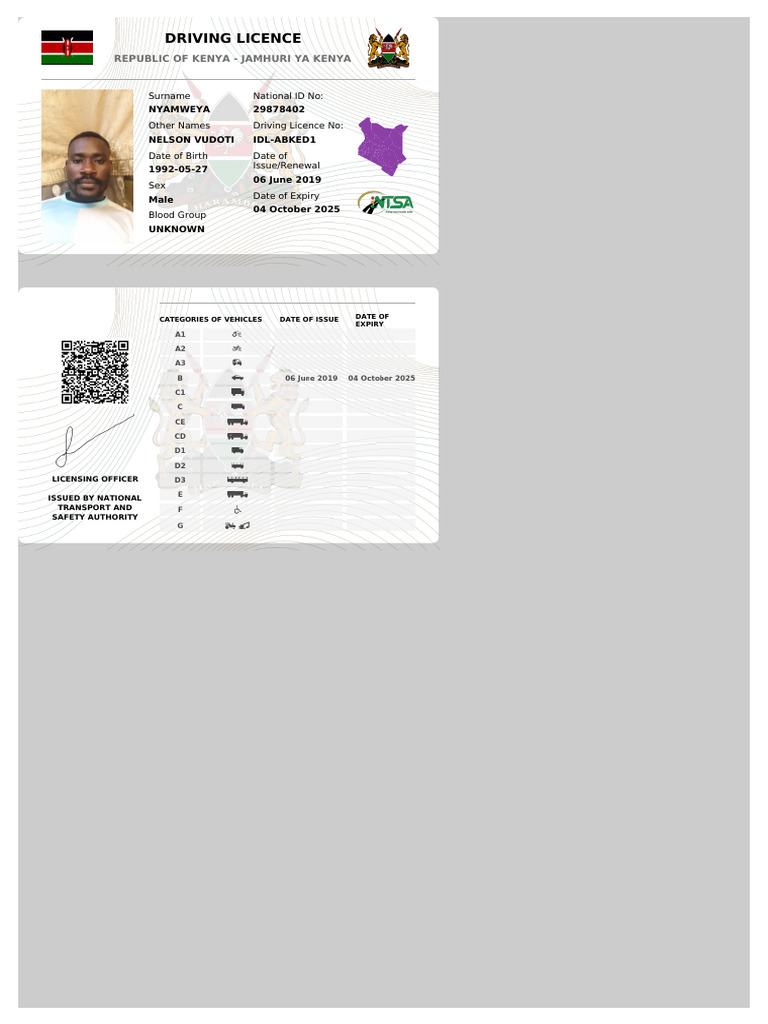 Driving Licence | PDF
