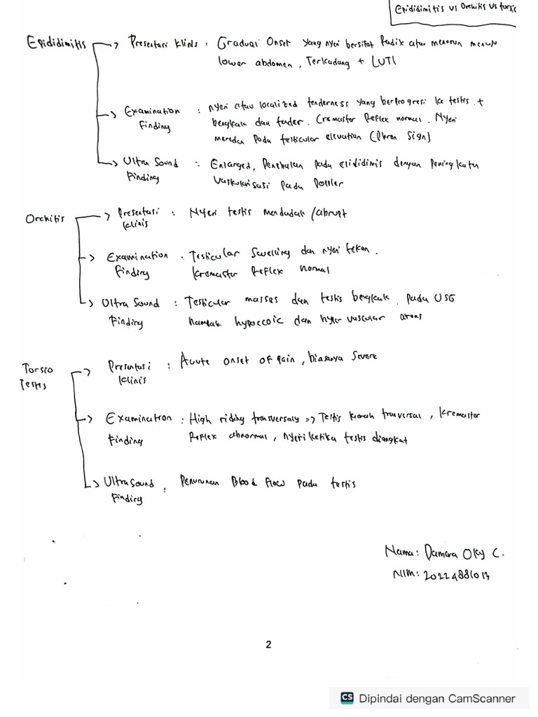 Perbedaan Orchitis, Epididimitis Dan Torsio - Damara Oky | PDF