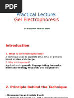 How To Read, Interpret and Analyze Gel Electrophoresis Results | PDF | Gel Electrophoresis ...