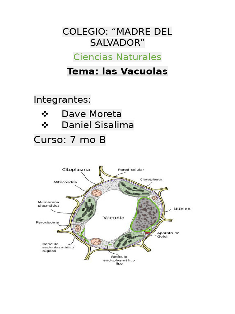 Dave Moreta | PDF