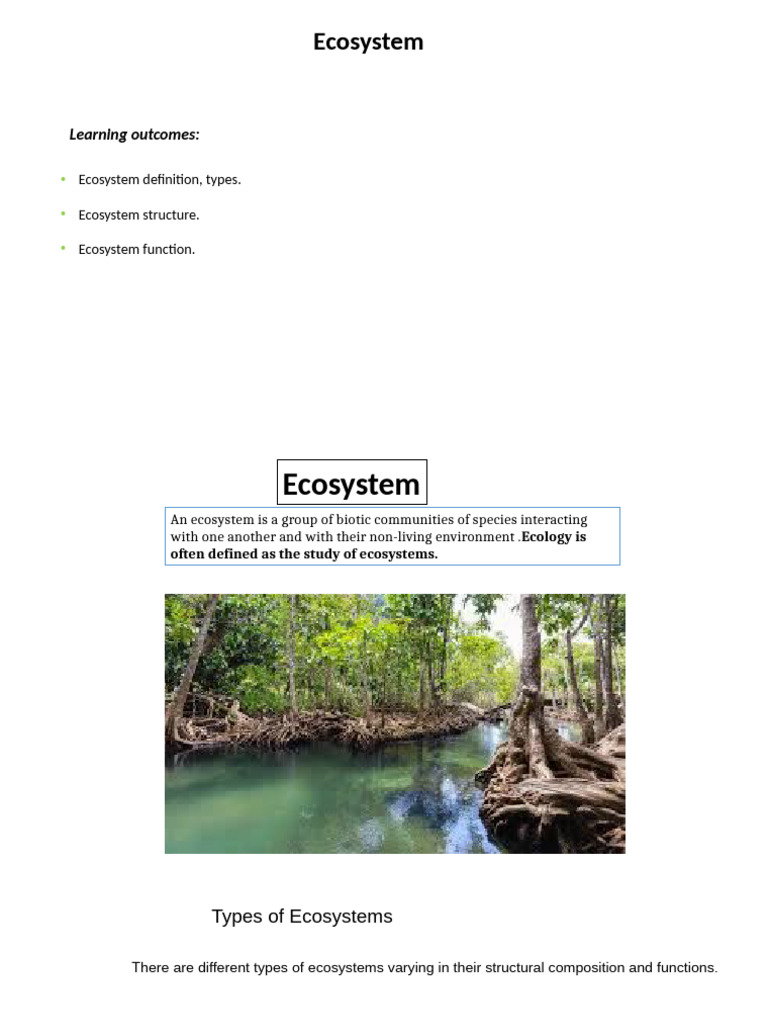 Understanding Ecosystem Structure & Function | PDF | Ecosystem | Food Web