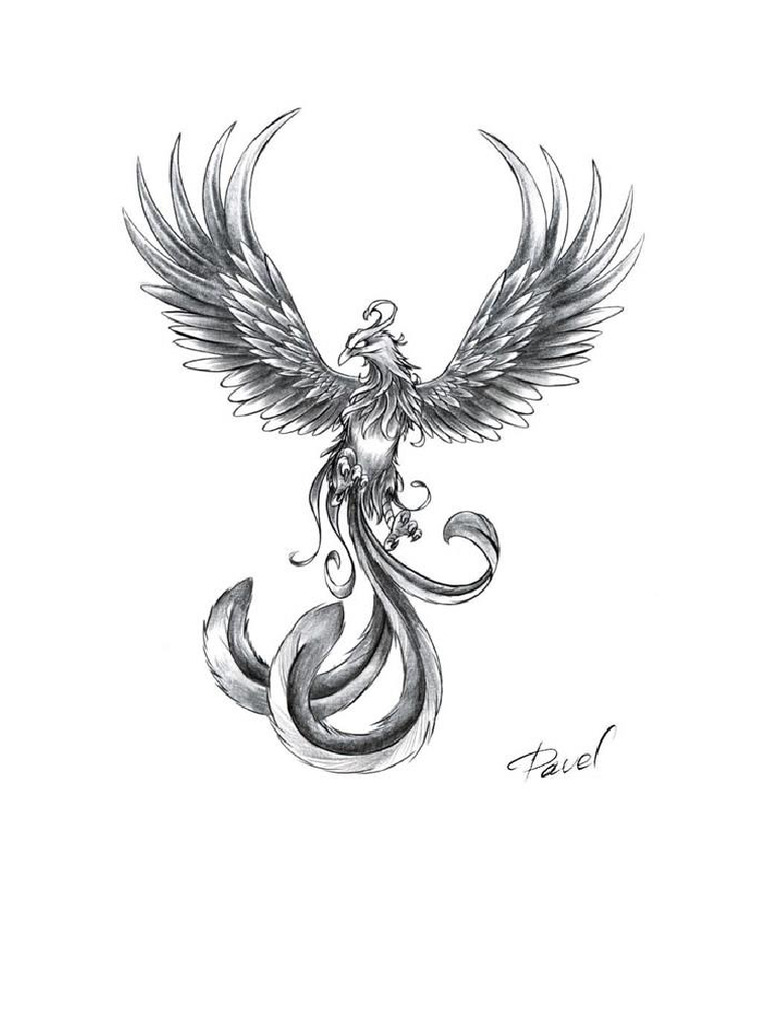 Fenix | PDF