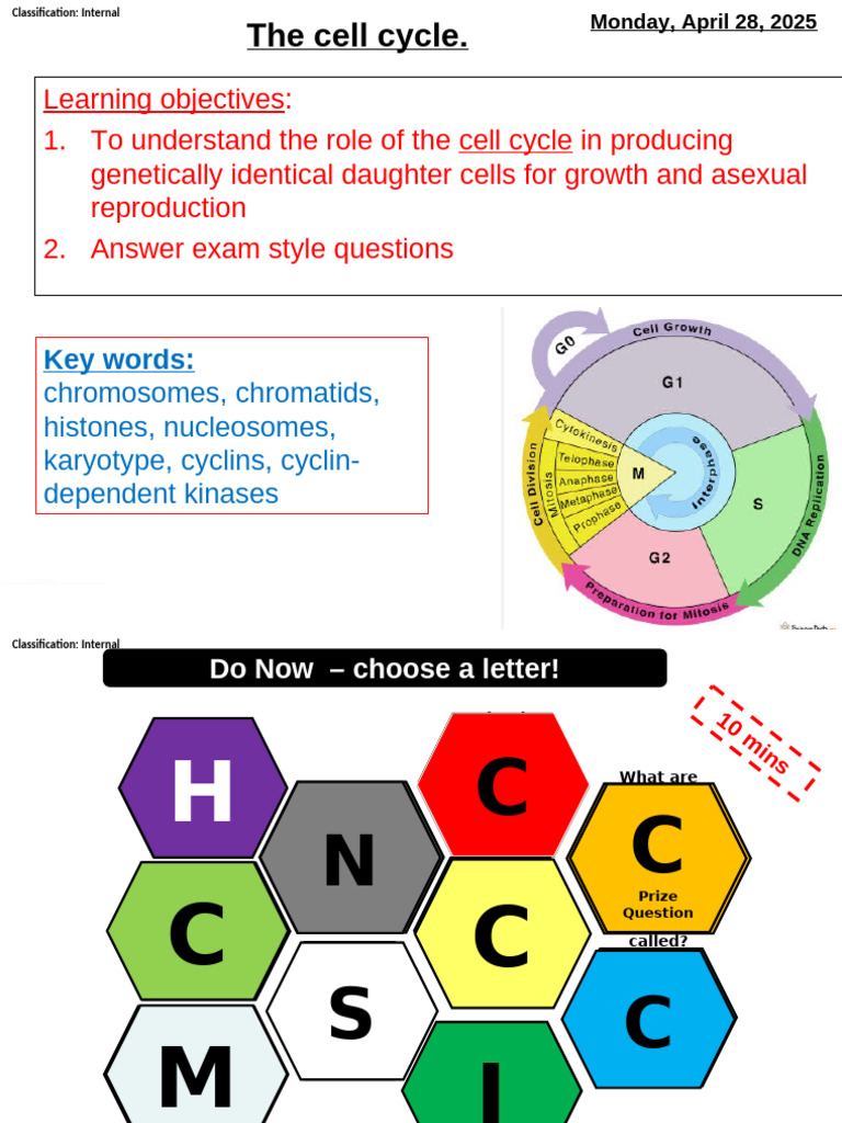 3B.1 - The Cell Cycle 5.5.25 | PDF | Cell Cycle | Chromosome