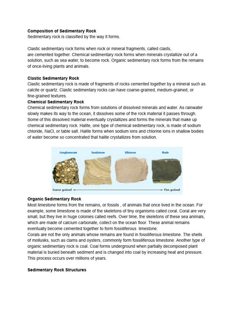 Classification of Sedimentary Rock | PDF | Sedimentary Rock | Limestone