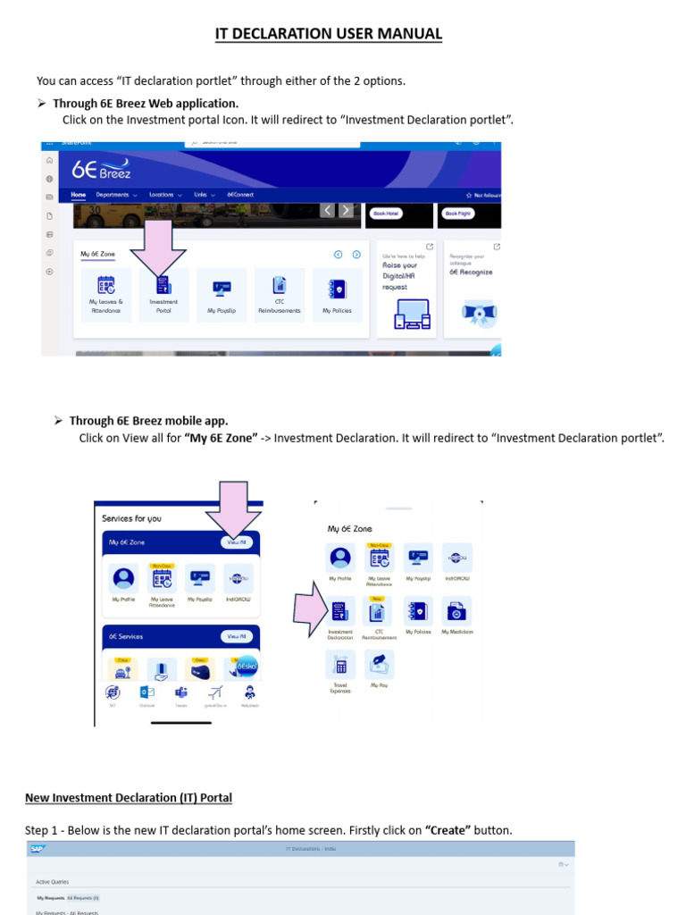 IT Declaration User Manual Guide | PDF | Taxes | Button (Computing)