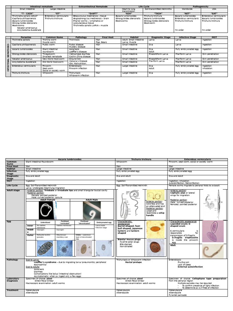 Nematode Infections and Pathology | PDF | Medical Specialties | Animals ...