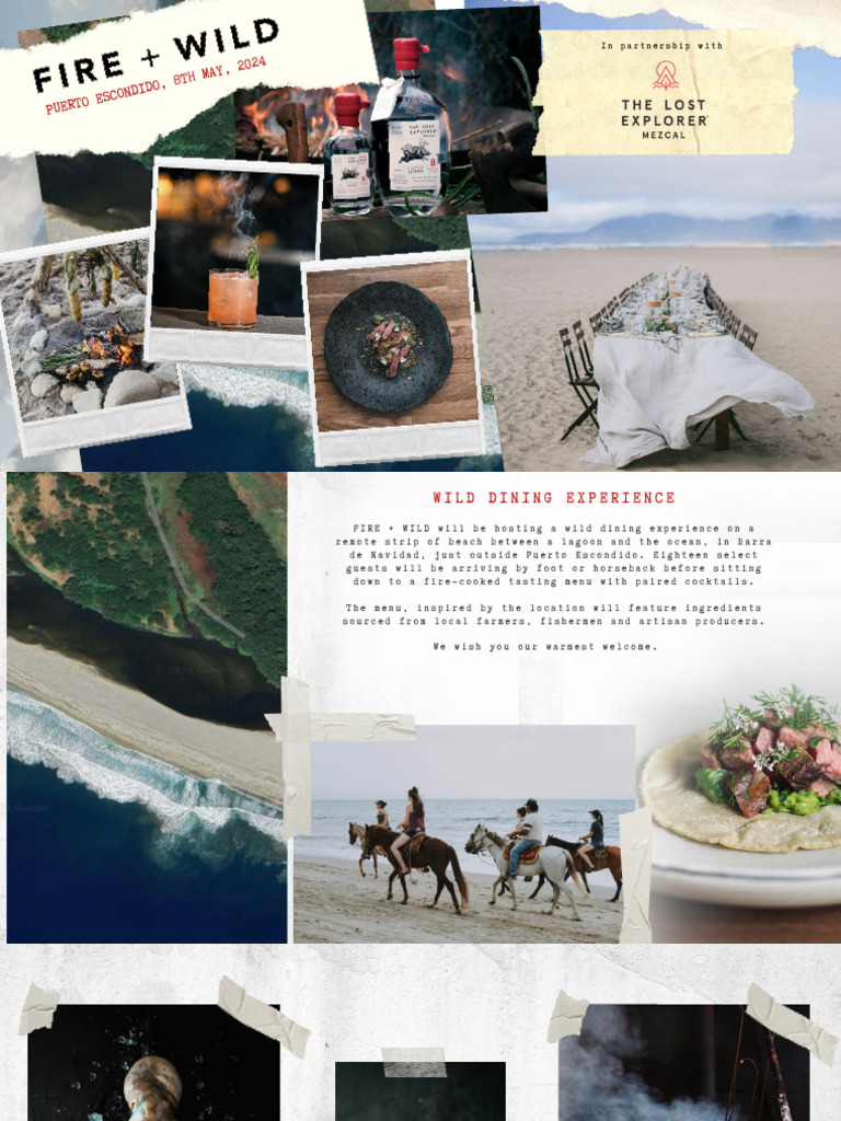 Exclusive Wild Dining Experience | PDF | Restaurants | Cooking