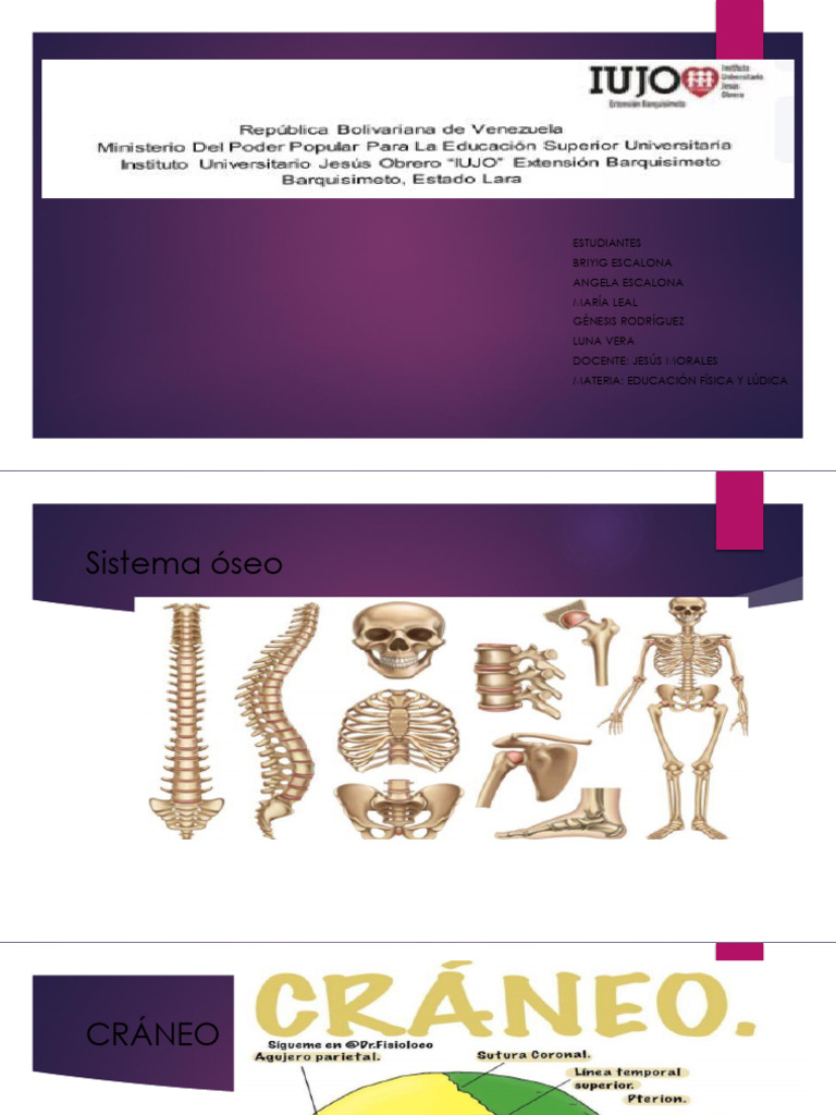 Presentación (12) - 2 | PDF
