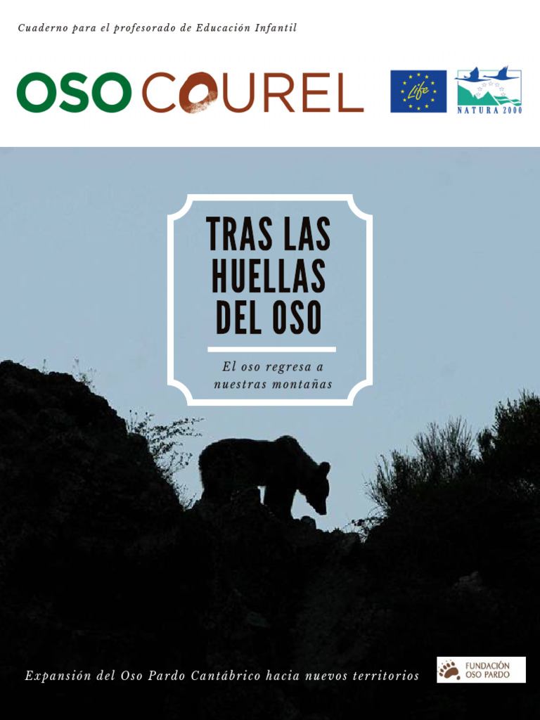 Unidad INFANTIl | PDF | Aprendizaje | Osos