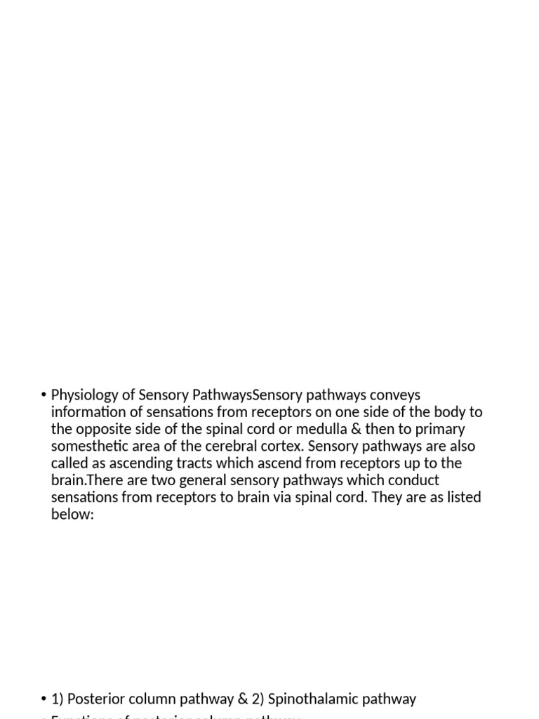 Sensory and Motor Pathway | PDF | Motor Neuron | Spinal Cord