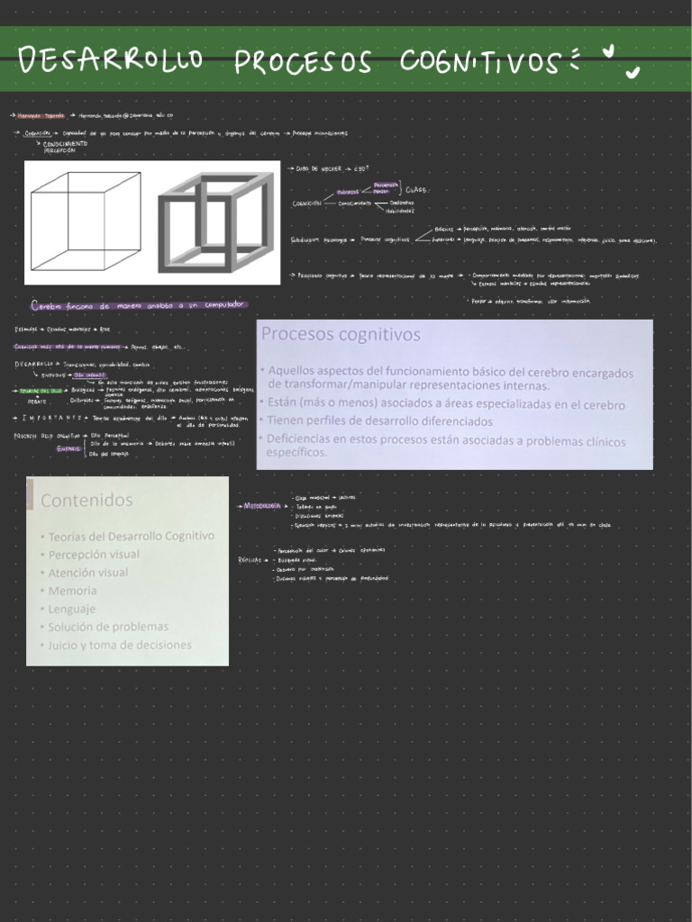 Procesos Cognitivos y Desarrollo Humano | PDF | Neurociencia | Ciencia ...