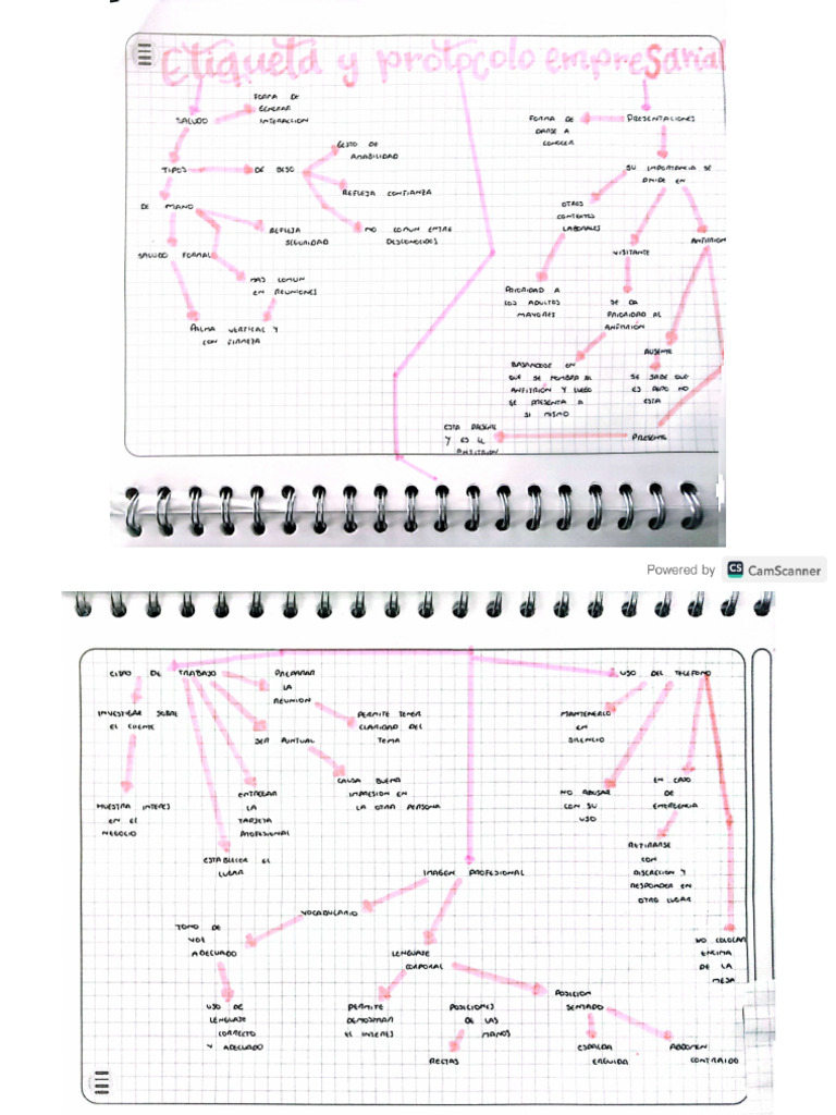 Mapa Protocolo y Etiqueya | PDF