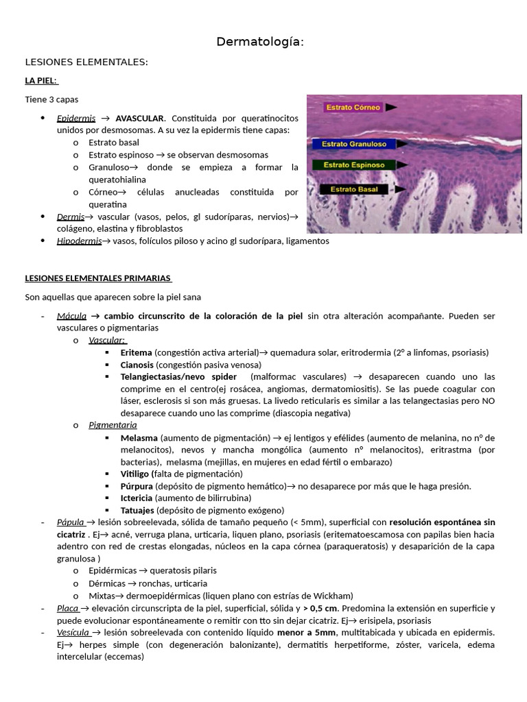 Lesiones Elementales, Inf Bact y Acné y Rosácea | PDF | Piel | Dermatología